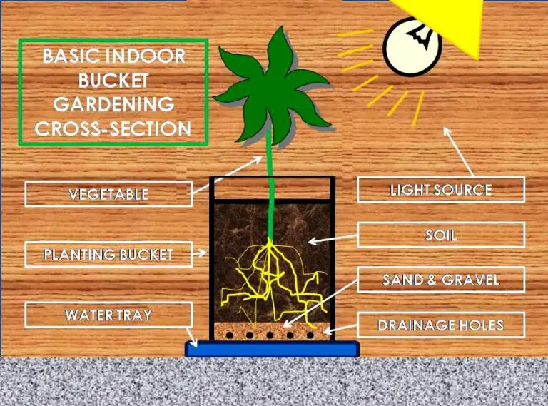 The Complete Guide to Growing Food in Buckets