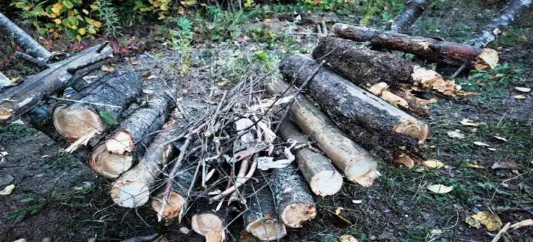 How to Build Your Own Self-Feeding Fire