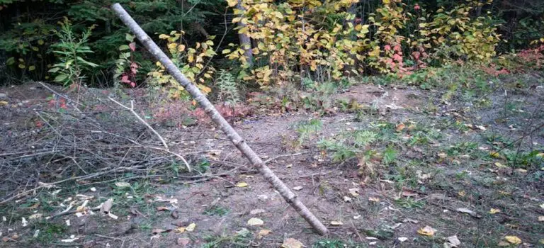 How to Build Your Own Self-Feeding Fire