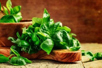 40 Ancient Remedies Most People Have Forgotten