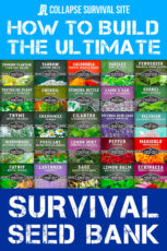 How To Build The Ultimate Survival Seed Bank