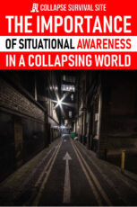 The Importance of Situational Awareness in a Collapsing World
