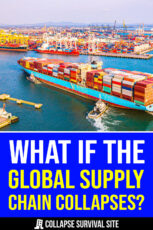 What If The Global Supply Chain Collapses?